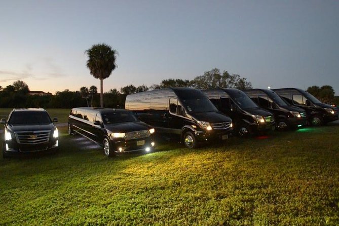 Party Bus Luxury Sprinter Limos - Who Should Consider This Tour?