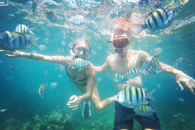 Party Catamaran Cruise with Open Bar and Snorkeling Montego Bay - The Sum Up