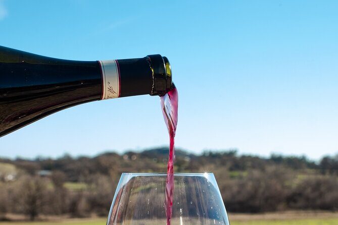 Paso Robles Aria (Syrah Dominant) Flight Wine Tasting - The Sum Up