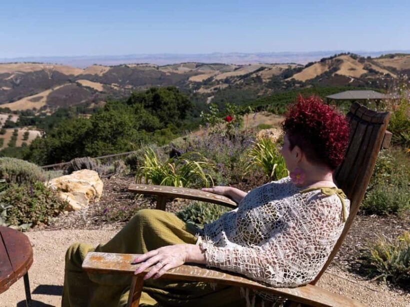 Paso Robles & Atascadero: 3-Winery Tour Including Lunch - The Value of This Tour