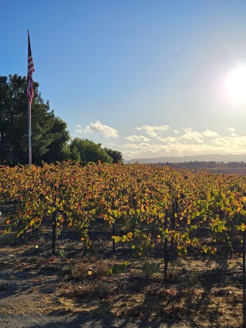 Paso Robles & Atascadero: 3-Winery Tour Including Lunch - Key Points