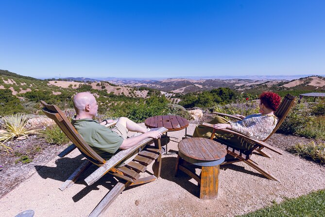 Paso Robles Full-Day Wine Tour With Tastings & ​Lunch Included - Key Points
