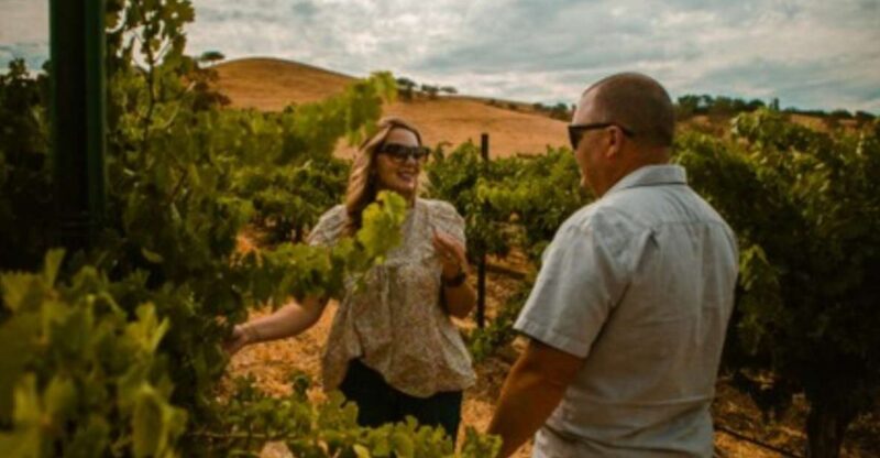 Paso Robles: Grapevine Getaway Exclusive Wine Tour - The Taste of Paso Robles — What Sets This Tour Apart