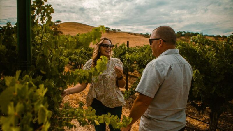 Paso Robles: Scenic Sidecar Vineyard Tour - Key Points