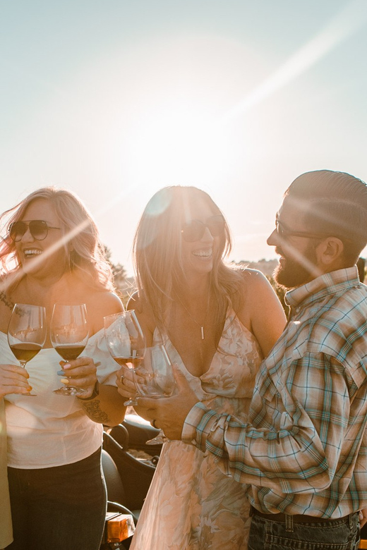 Paso Robles: Vineyard Rides Wine Adventure - Paso Robles: Vineyard Rides Wine Adventure — A Unique Way to Explore Wine Country