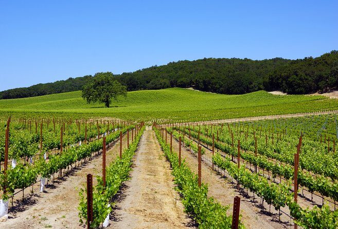 Paso Robles Wine Adventure with pickup from Cambria, CA - FAQ