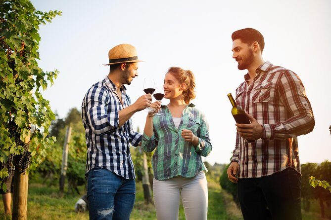 Paso Robles Wine Adventure with pickup from San Luis Obispo, CA - Who Will Love This Tour?