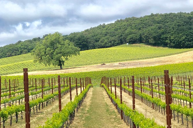 Paso Robles Wine Tour: We Drive Your Vehicle - Pricing and Booking Details