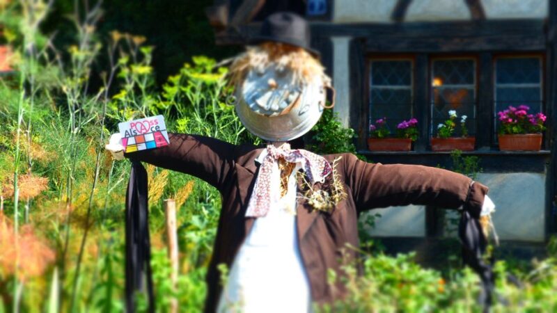 Pass Alsace : The Best of Alsace in your Pocket - Key Points