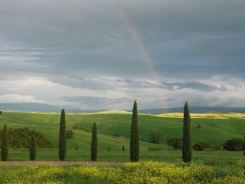 Passeggiando nell'uliveto: come nasce l'olio extrav d'oliva? - Key Points