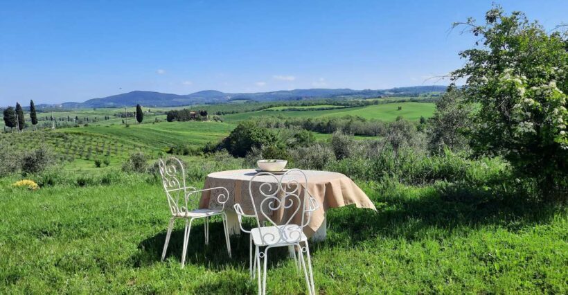 Passeggiando nell'uliveto: come nasce l'olio extrav d'oliva? - An In-Depth Look at the Olive Experience Tour