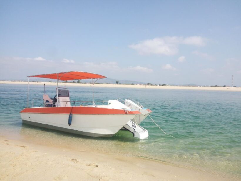 Passeio Barco na Ria Formosa 5H - Final Thoughts