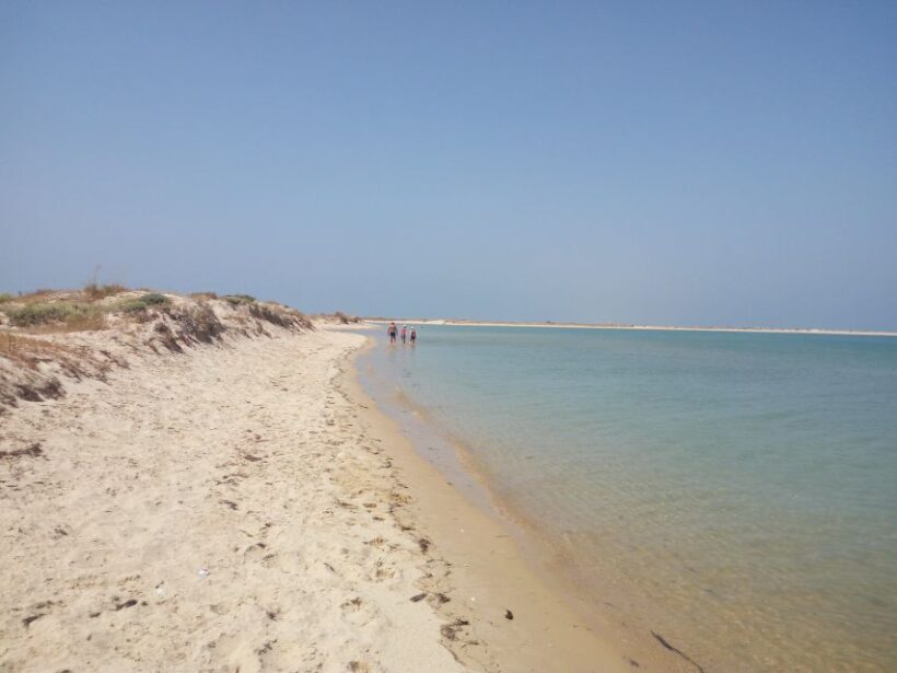 Passeio Barco na Ria Formosa 5H - FAQ