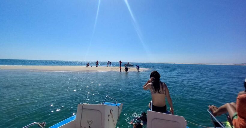 Passeio de barco na Ria Formosa 3H - Who Is This Tour Best For?