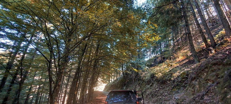 Passeio Guiado em 4x4 para conhecer a Serra da Estrela - Why This Tour Is a Great Choice