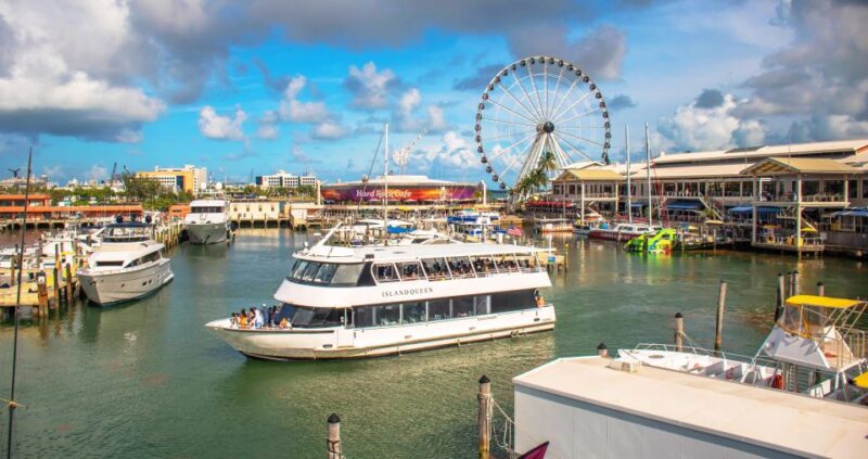 Passin Miami: 30+ Attractions, eSIM & 1-Way Airport Transfer - The Experience of Using the Pass