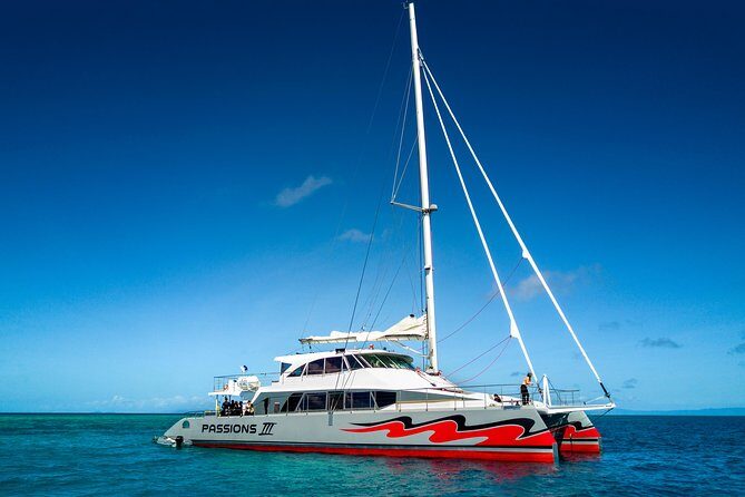 Passions of Paradise Great Barrier Reef Cruise by Catamaran - A Closer Look at the Tour Itinerary