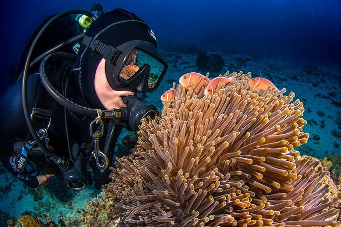 Passions of Paradise Great Barrier Reef Cruise by Catamaran - Authentic Review Insights