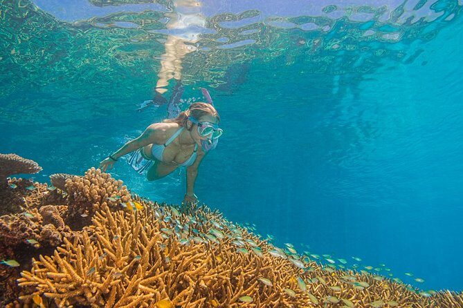 Passions of Paradise Great Barrier Reef Cruise by Catamaran - FAQ