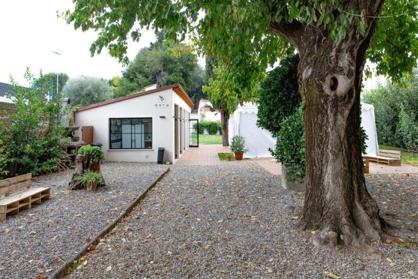 Pasta class in Orto San Frediano - An In-Depth Look at the Pasta Class Experience