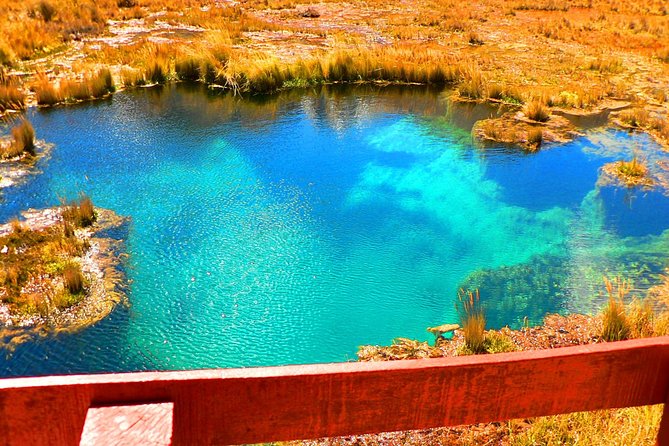 Pastoruri Glacier - Inclusions and Pricing