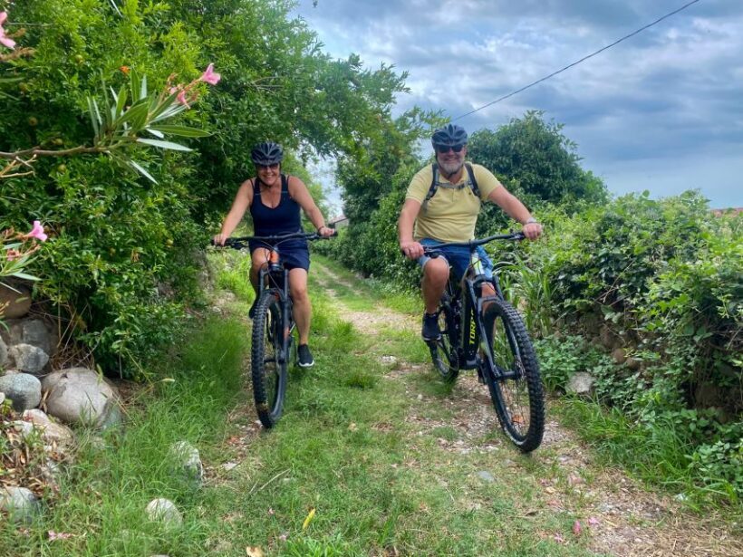 Pastrengo: e-bike tour and wine tasting in the Castle - Introduction: What’s the Experience?