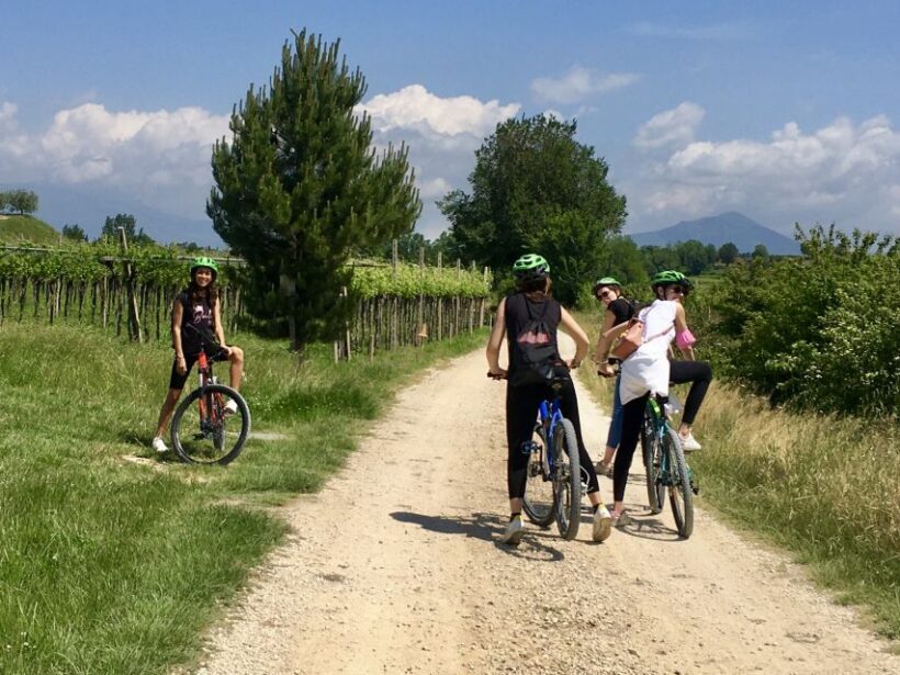 Pastrengo: e-bike tour and wine tasting in the Castle - Final Thoughts: Is It Worth It?