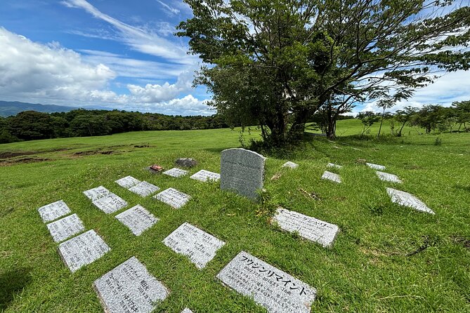 Pasture Hike With Horse Whisperer at Horse Trust in Kagoshima - Participant Information and Requirements