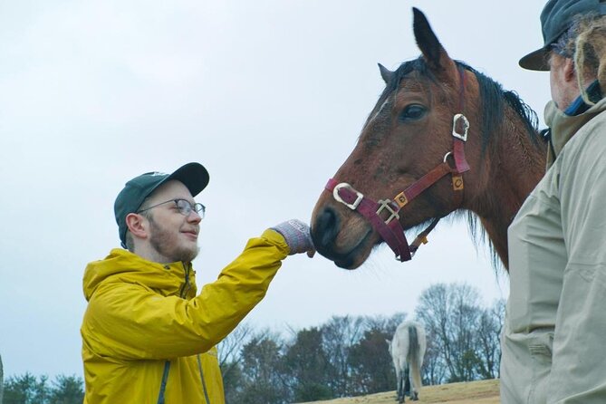Pasture Hike With Horse Whisperer at Horse Trust in Kagoshima - Pricing and Booking Considerations