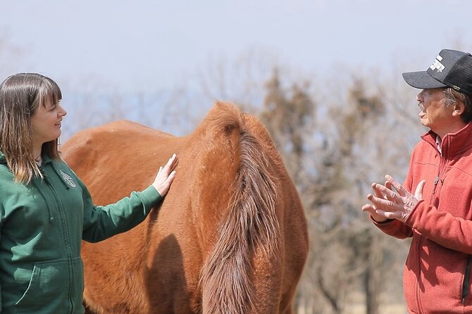 Pasture Hike With Horse Whisperer at Horse Trust in Kagoshima - Review Highlights From Previous Visitors