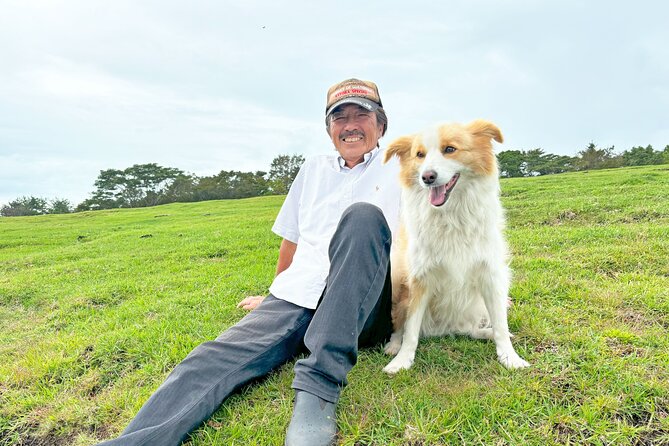 Pasture Hike With Horse Whisperer at Horse Trust in Kagoshima - Exploring the Pastures at Horse Trust