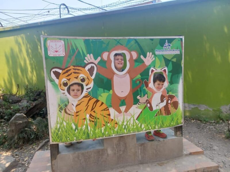 Patan: Patan Durbar, Central Zoo & Godawari Botanical Garden - Practical Details and What to Expect