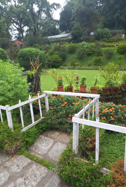 Patan: Patan Durbar, Central Zoo & Godawari Botanical Garden - Final Thoughts