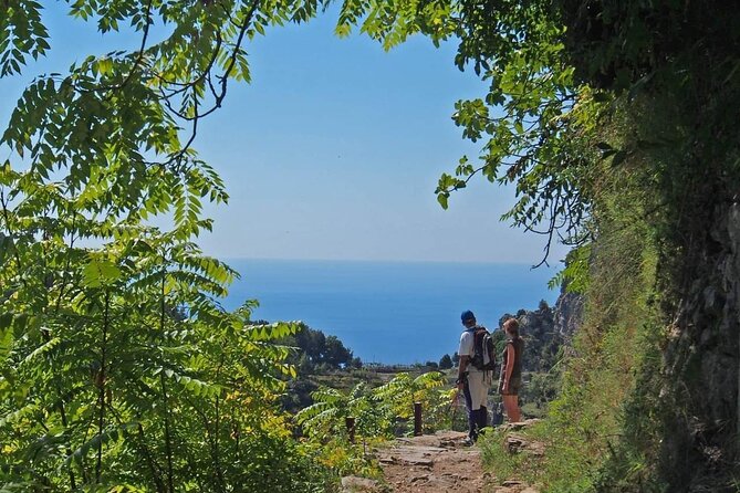 Path of the Gods Gastronomical Hiking With Food Tasting - Traveler Feedback