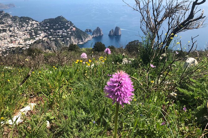 Path of the Gods Gastronomical Hiking With Food Tasting - Making Memories on This Hiking Adventure