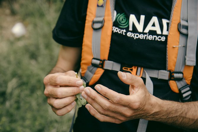 Path of the Gods Private Guided Hiking Experience - Guide Qualifications