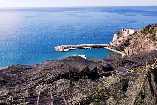 Path of the Lemons - Frequently Asked Questions