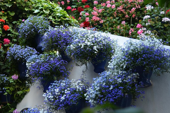 Patios & Perfums of Cordoba Festival Tour - Booking Information and Cancellation Policy