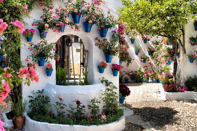 Patios Tour in Cordoba - Exploring the Patios