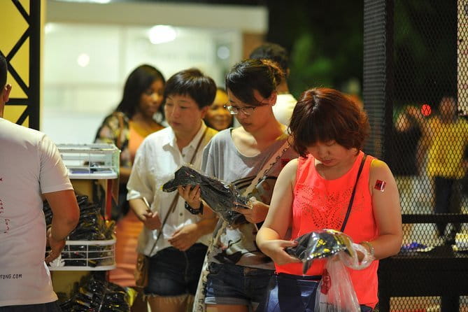 Patong Boxing Stadium - Who Should Consider This Tour?