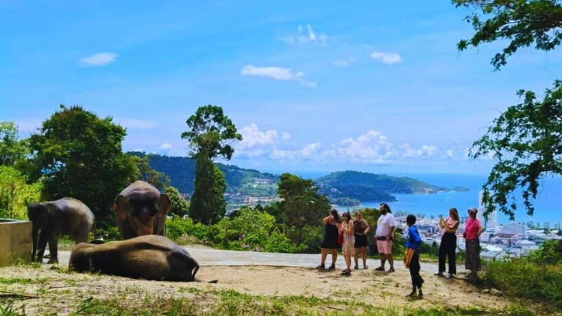 Patong: Elephant Sanctuary Tour with Transfer - Patong: Elephant Sanctuary Tour with Transfer - A Practical Review