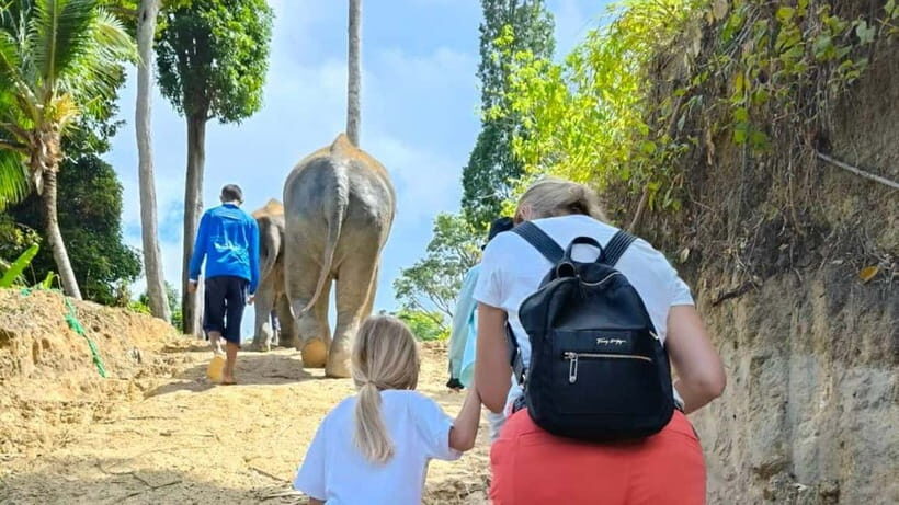 Patong: Elephant Sanctuary Tour with Transfer - How This Tour Fits Into Your Travel