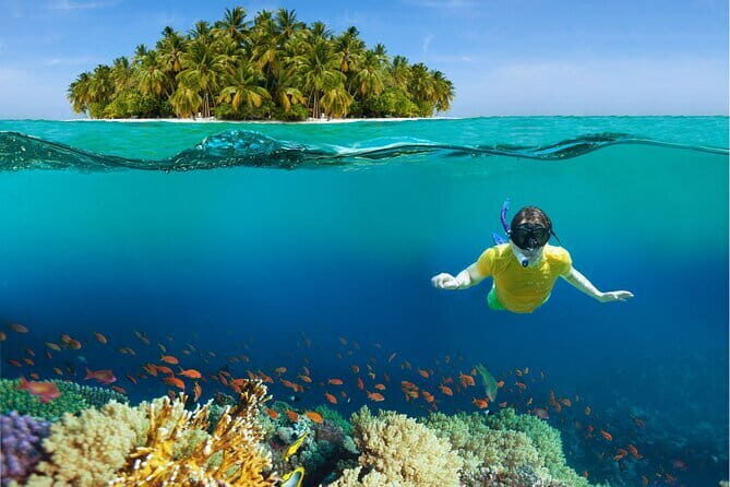 Pattaya: Coral Island Tour with Water Sports, Lunch & Pickup Drop - Is This Tour Worth It?