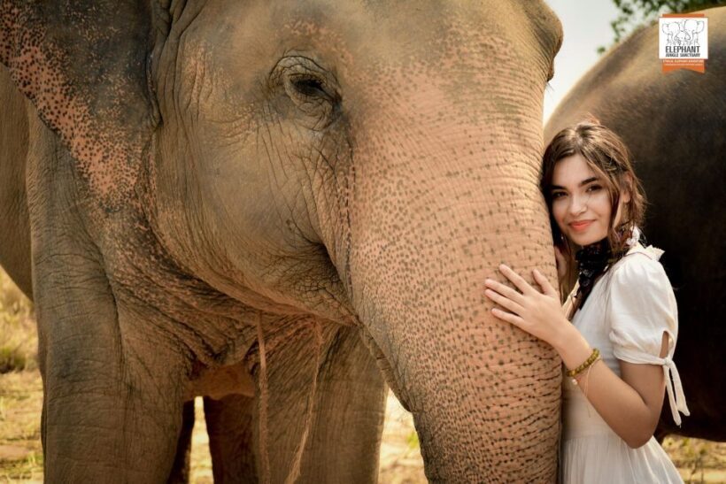 Pattaya: Elephant Jungle Sanctuary Half-Day Tour with Meal - The Value of the Tour