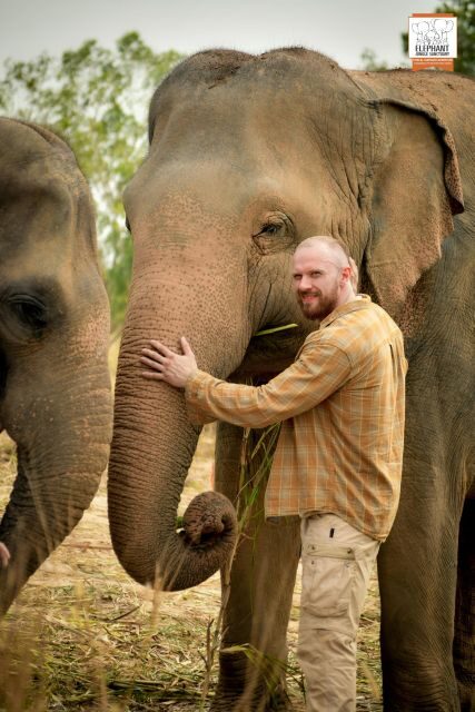 Pattaya: Elephant Jungle Sanctuary Half-Day Tour with Meal - Why This Tour Stands Out