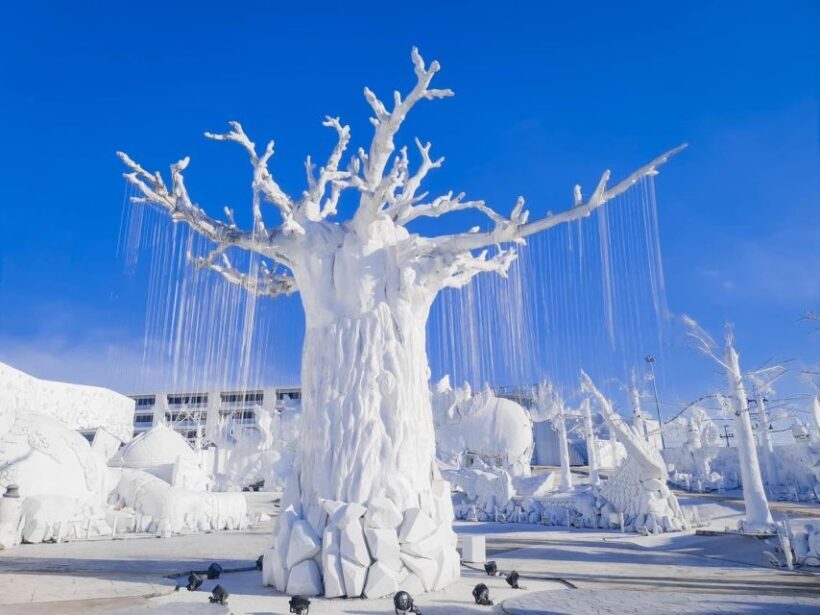 Pattaya: Frost Magical Ice of Siam Entry Ticket - The Experience from Different Perspectives