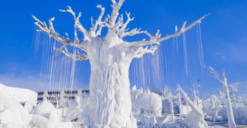 Pattaya: Frost Magical Ice of Siam Entry Ticket - Introduction