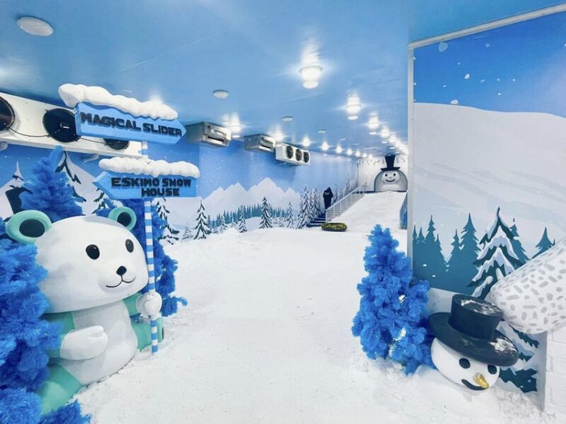 Pattaya: Frost Magical Ice of Siam Entry Ticket - Practical Tips for Visiting