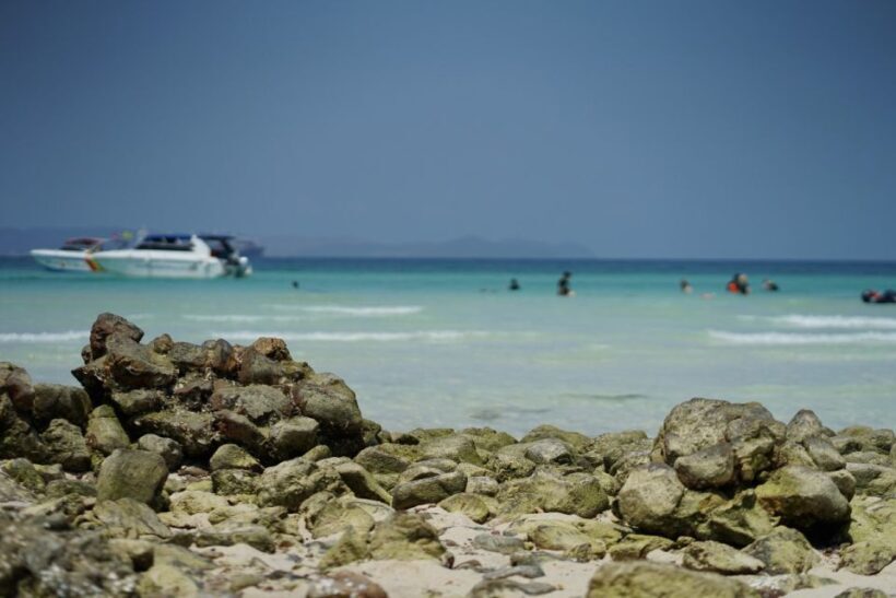 Pattaya Island Trip With Drone Photo and lunch,Nature Beach - FAQ