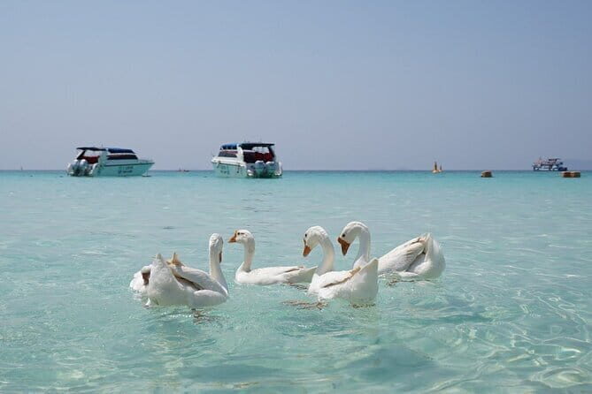 Pattaya Island Trip with Drone Photo by Speed Boat - FAQs